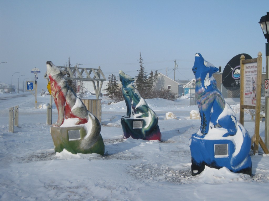 Aurora Shines Down On Churchill Aurorafest - Churchill Polar Bears