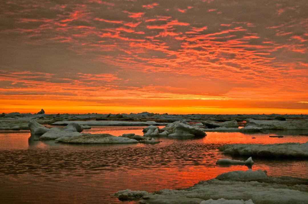 Churchill Sunday Photo – Hudson Bay Sunrise - Churchill Polar Bears
