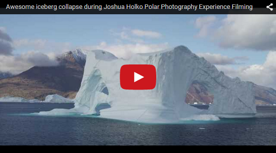 Churchill Video of the Week – Arctic - Churchill Polar Bears