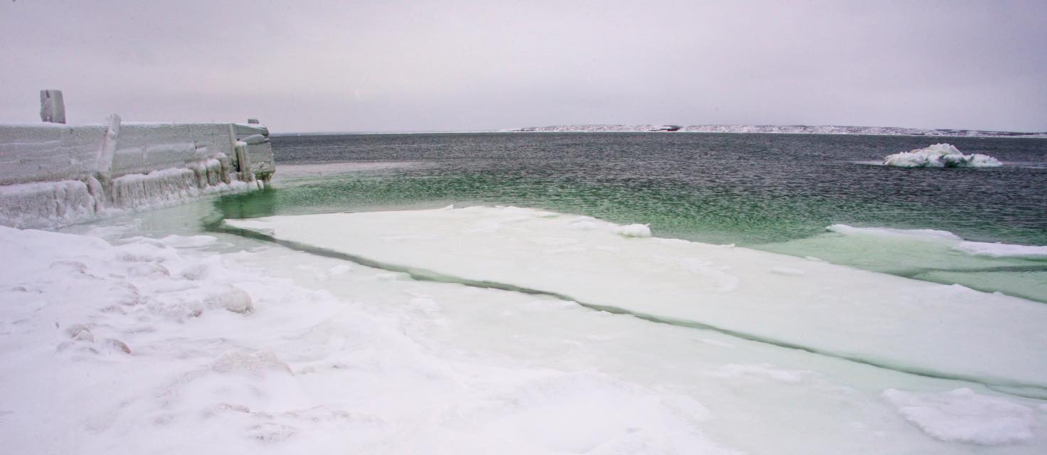 Churchill River Still Unfrozen - Churchill Polar Bears