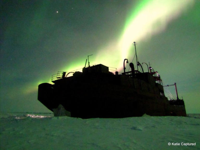 Haunting Ithaca Shipwreck Under Northern lights - Churchill Polar Bears