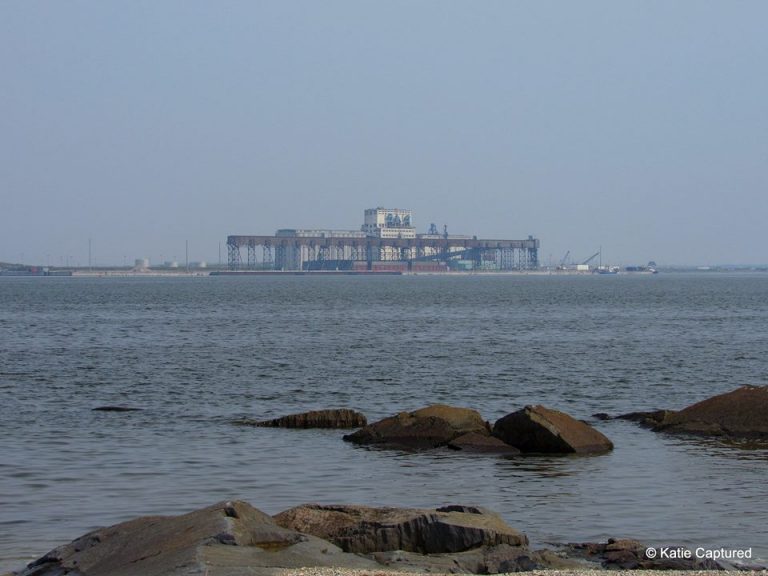 Churchill Port and Hudson Bay Line | Churchill Polar Bears
