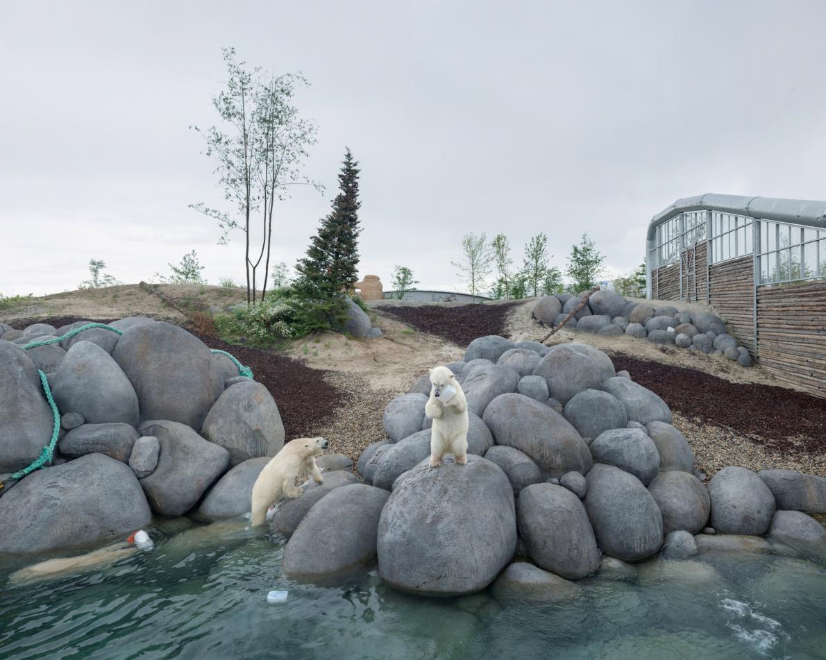 Churchill Wants Polar Bears to Stay Home - Churchill Polar Bears