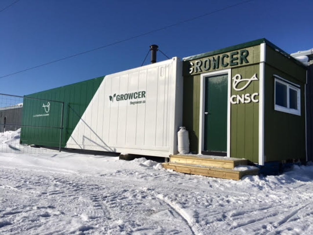 Churchill Loving Hydroponic Garden | Churchill Polar Bears