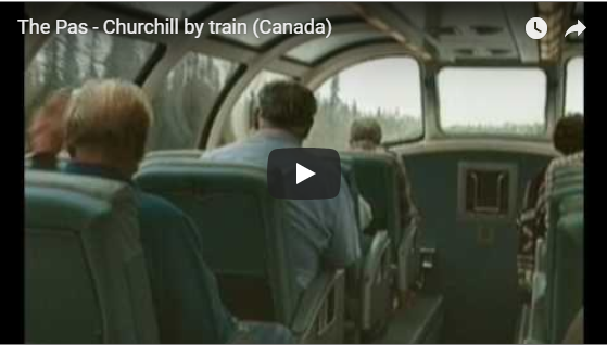 Churchill Video of the Week – Train to Churchill | Churchill Polar Bears
