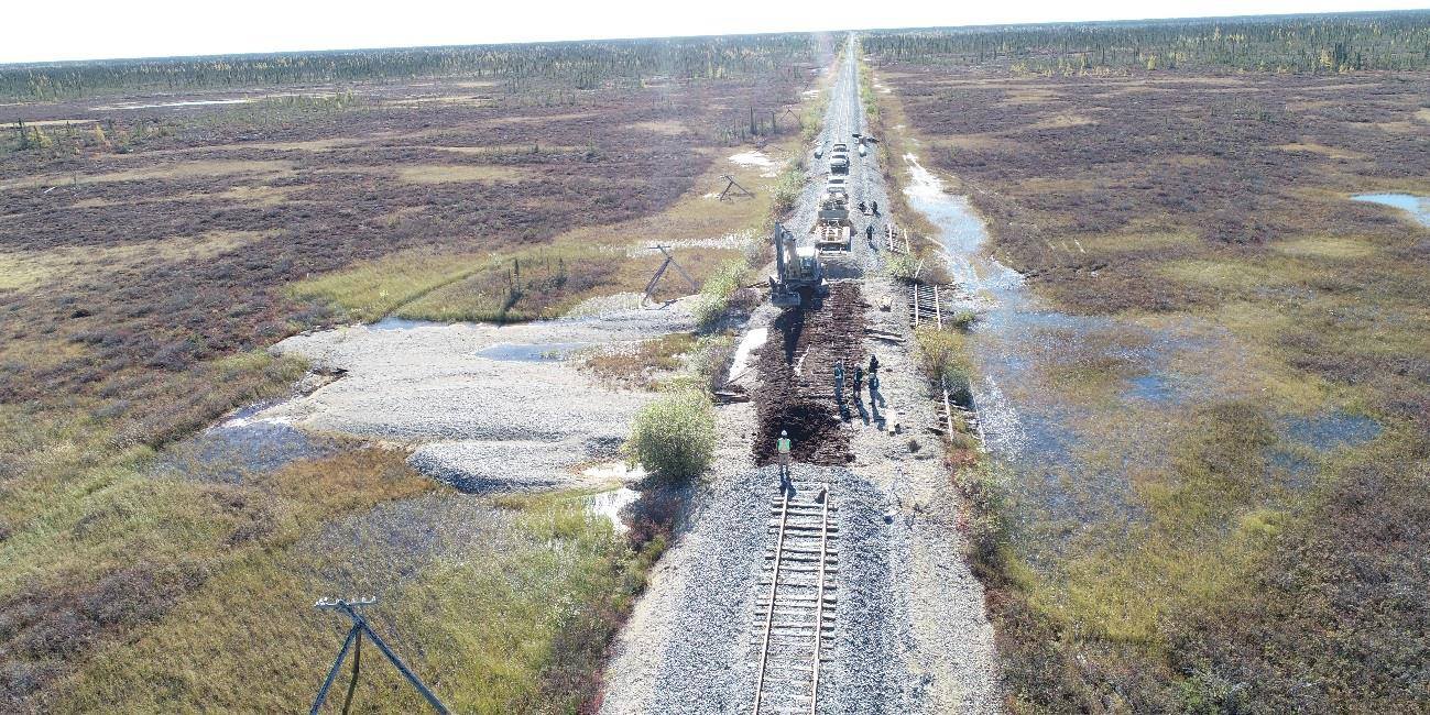 Churchill Weekly Photos – Hudson Bay Line - Churchill Polar Bears