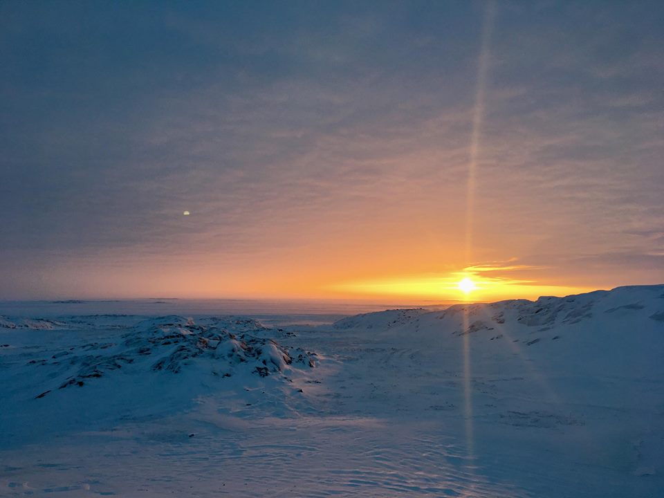 Churchill Weekly Photo – Rankin Inlet - Churchill Polar Bears
