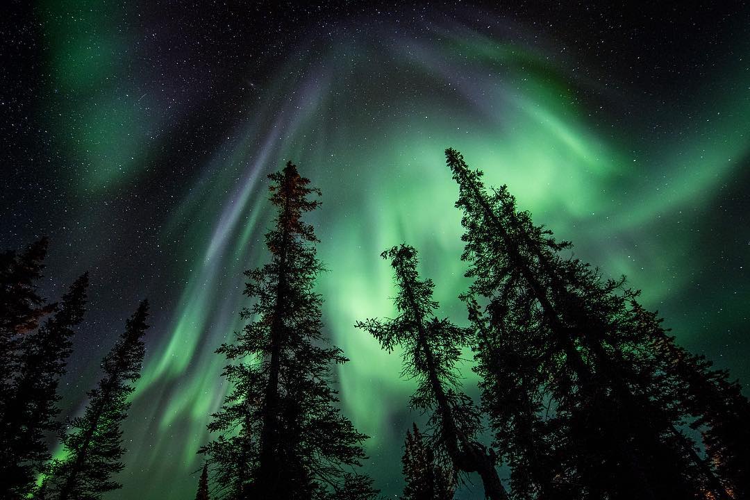 Churchill Weekly Photos – Discover Churchill’s Borealis - Churchill ...