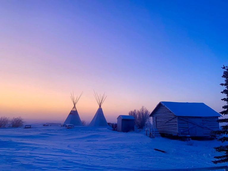 Arctic - Churchill Polar Bears