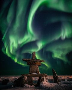 Churchill Polar Bears - Dispatches from the Polar Bear Capital of the World