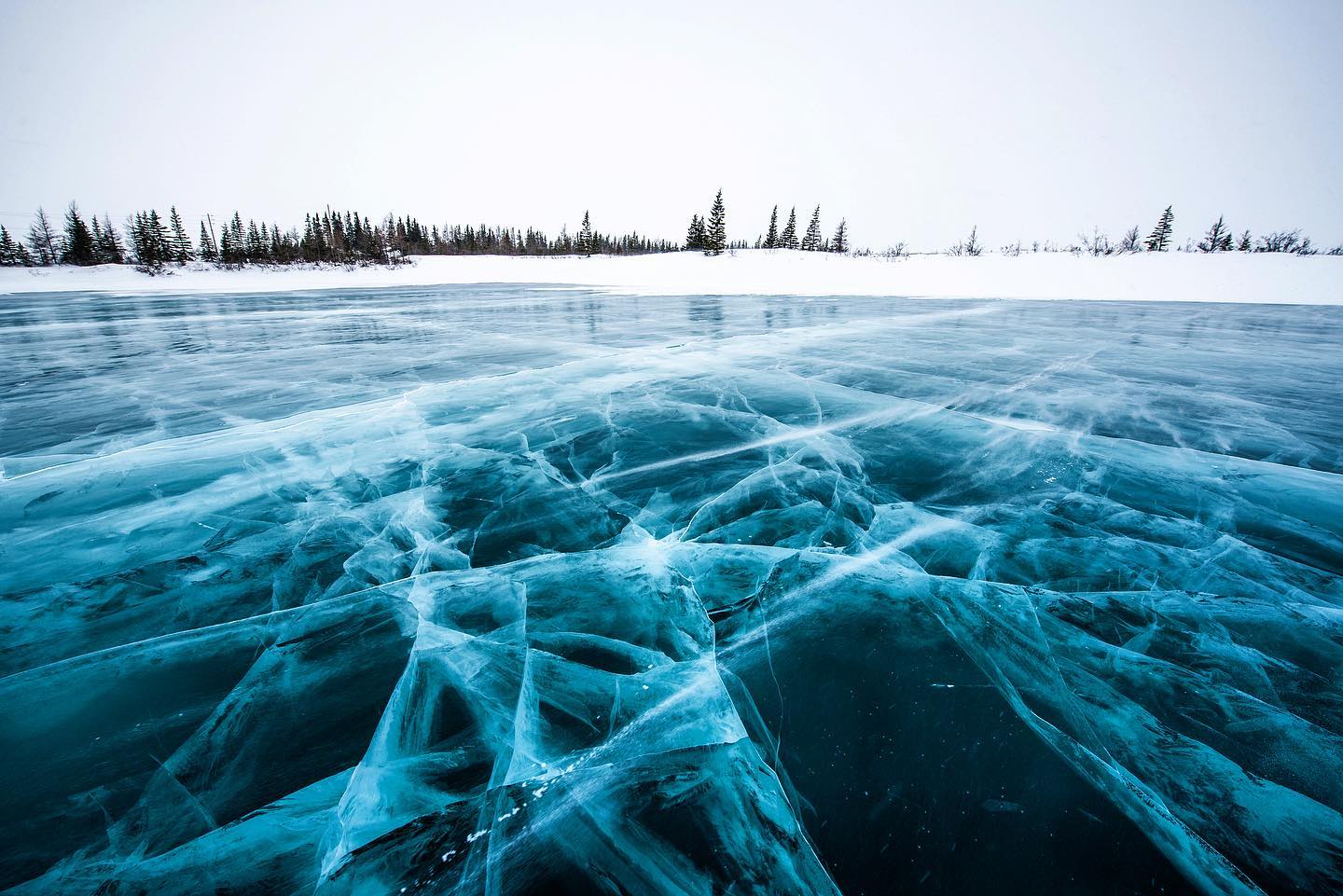 Churchill Polar Bears - Dispatches from the Polar Bear Capital of the World
